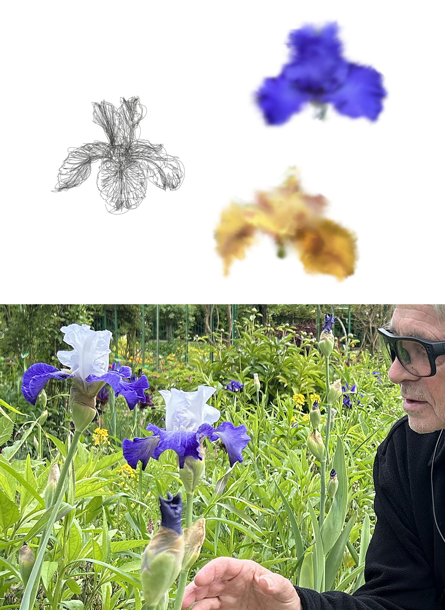 Drawing Now - Galerie Wagner